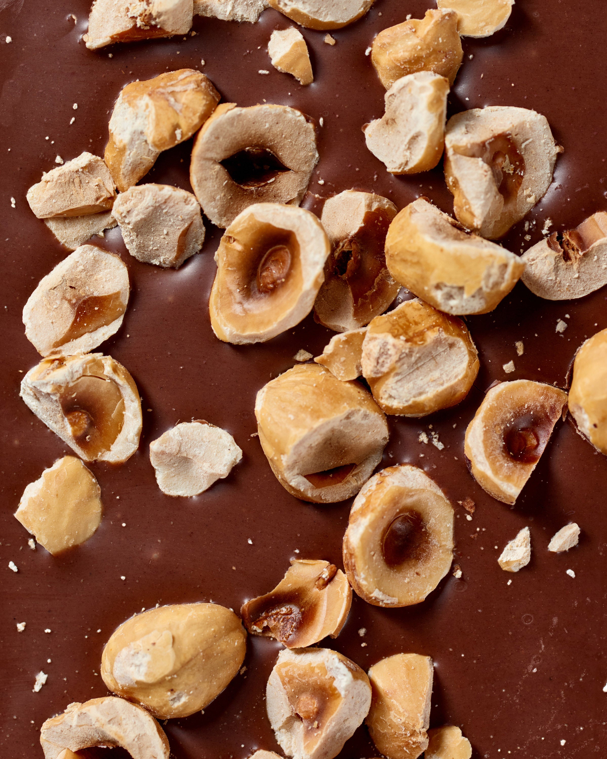 Milk Chocolate Hazelnut Block – Cocoa Nib